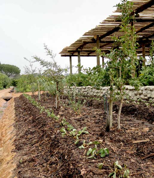 aarbeie-voor-bessie-blok - Babylonstoren Blog
