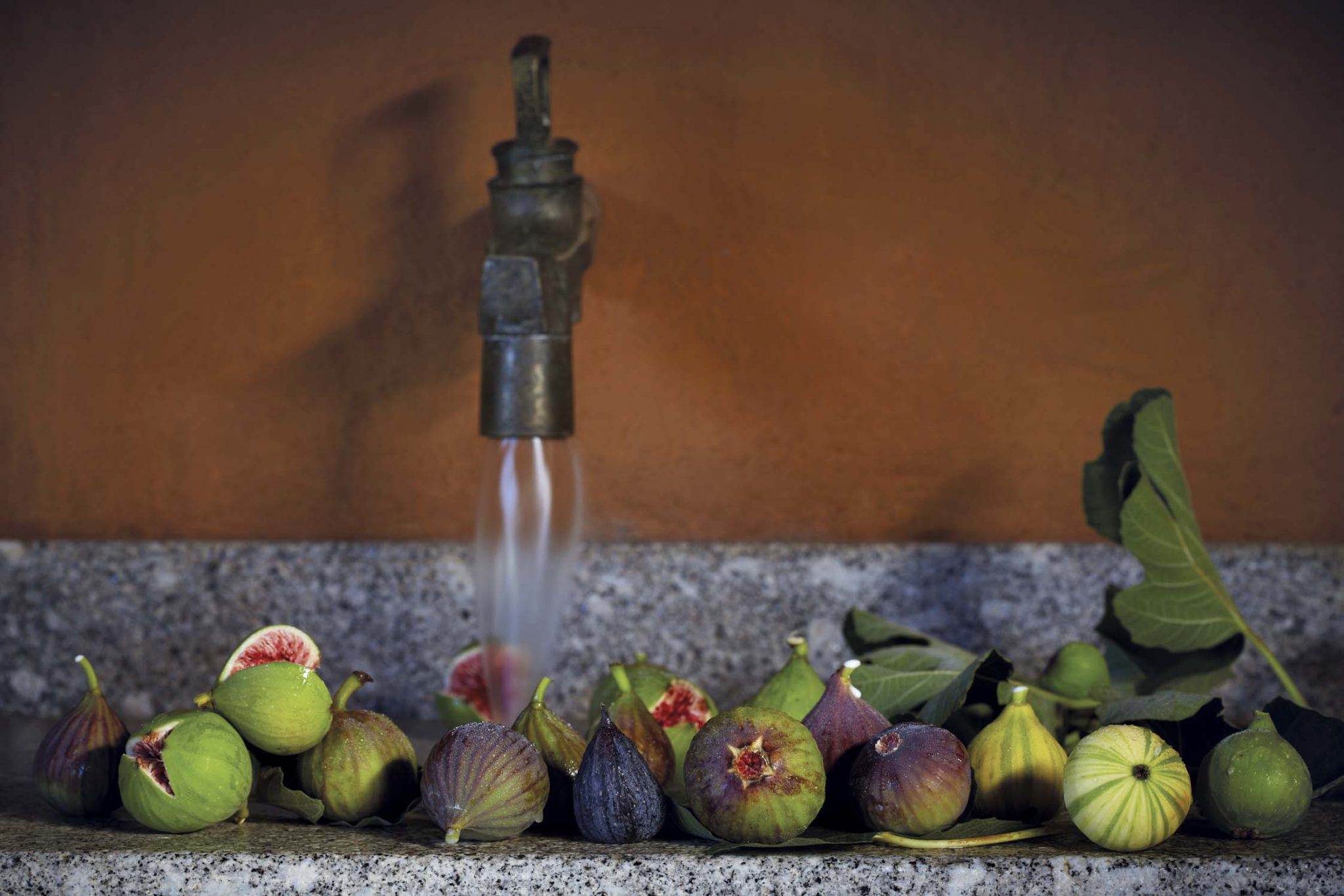 Adam & Eve of Figs - Babylonstoren Blog