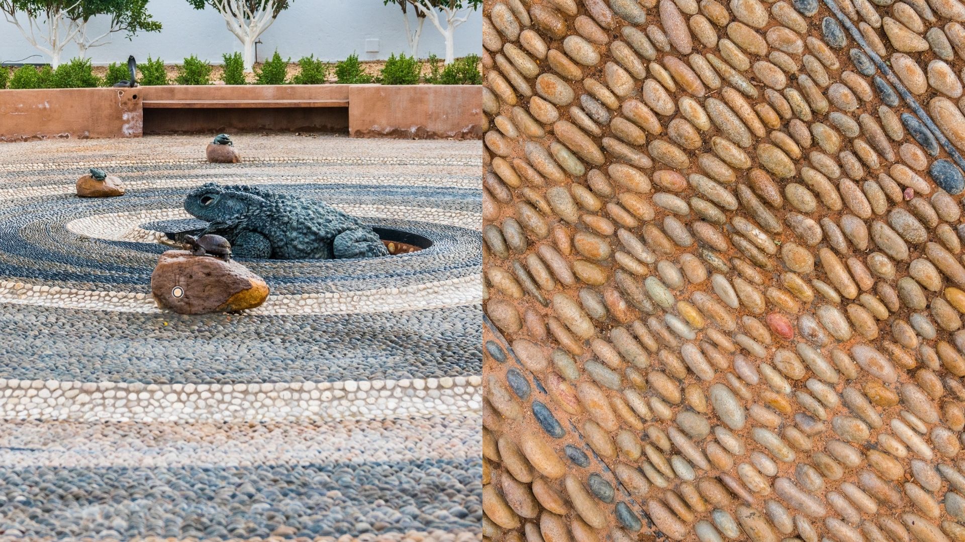 We will rock you | Babylonstoren