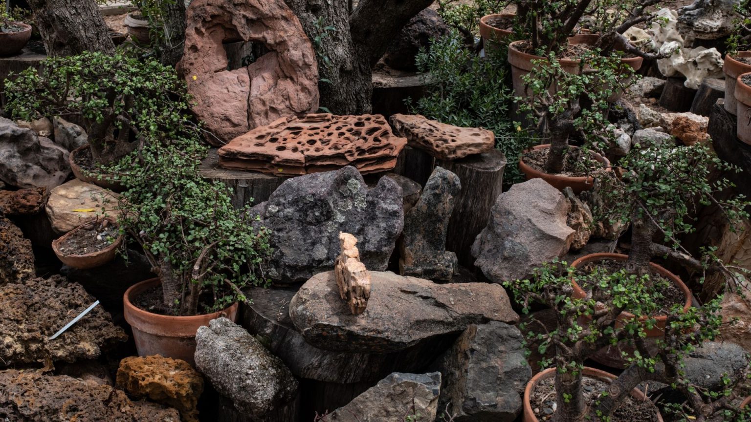 We will rock you | Babylonstoren