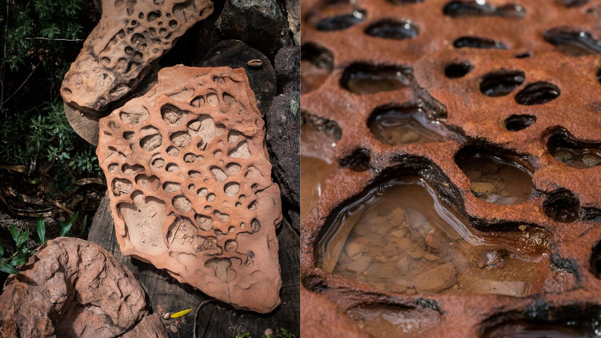 We will rock you | Babylonstoren