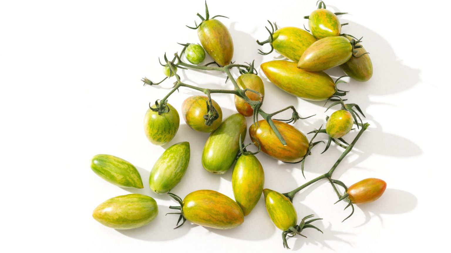 Tomato? Tomato! Heirloom Tomatoes at Babylonstoren | Babylonstoren