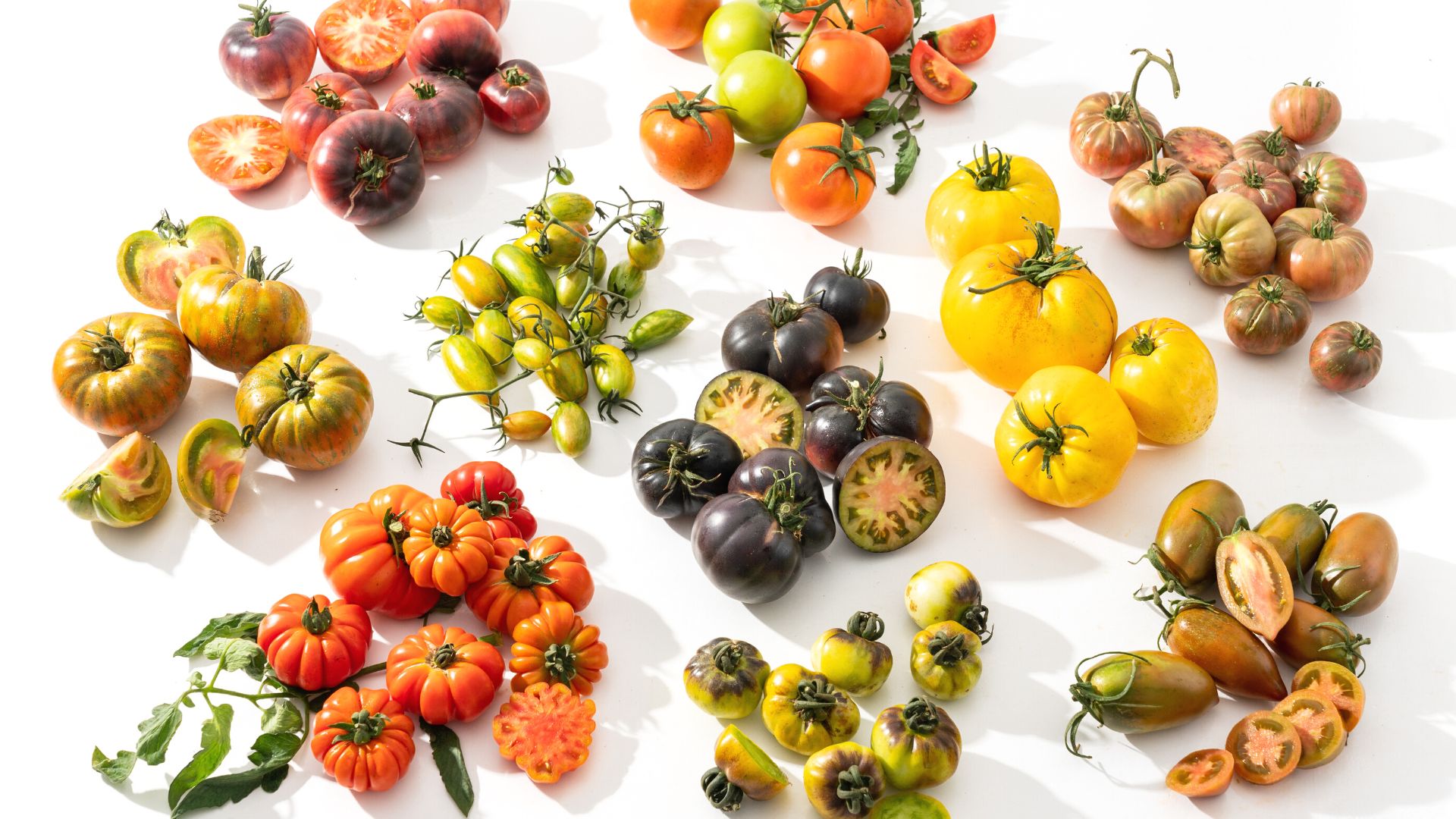 Tomato? Tomato! Heirloom Tomatoes at Babylonstoren | Babylonstoren