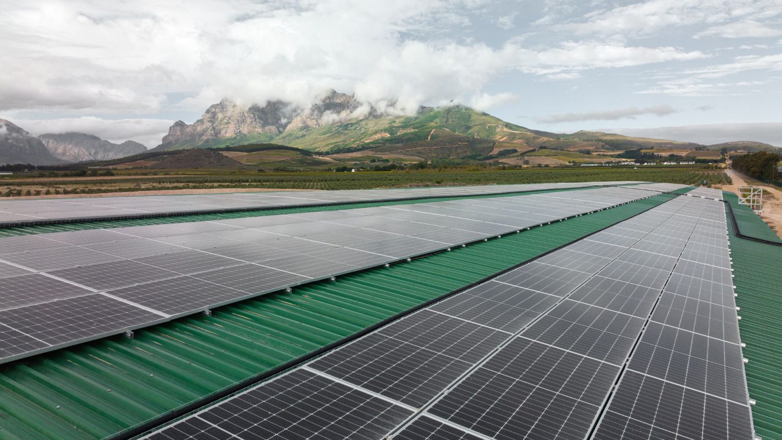 Sun’s Out! Babylonstoren is going solar | Babylonstoren