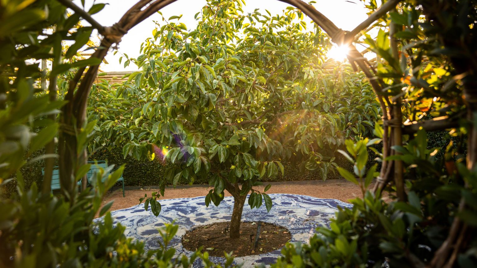 Playing with blue and white – the story of Babylonstoren’s blue china ...