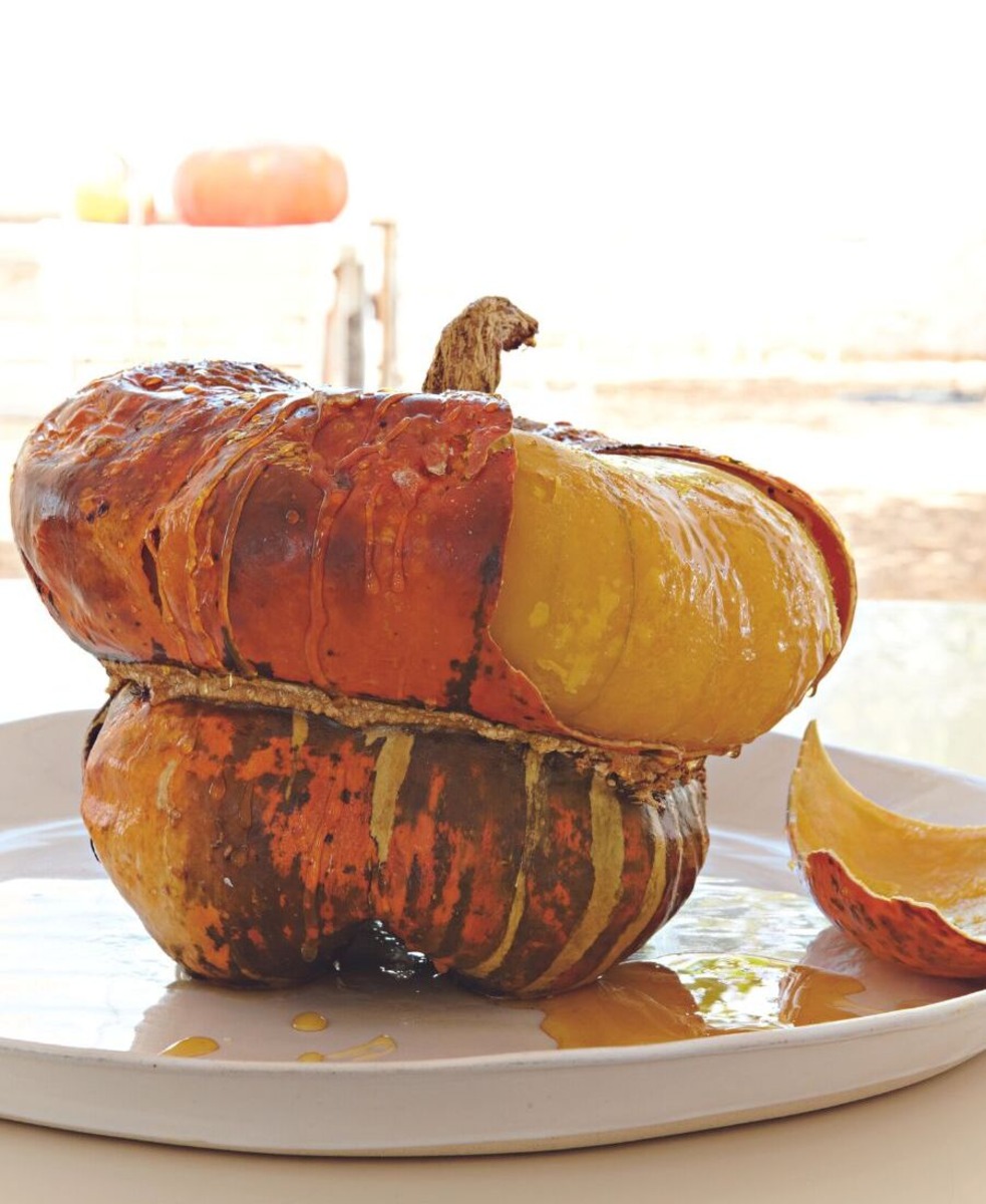 Coming up pumpkins | Babylonstoren Blog