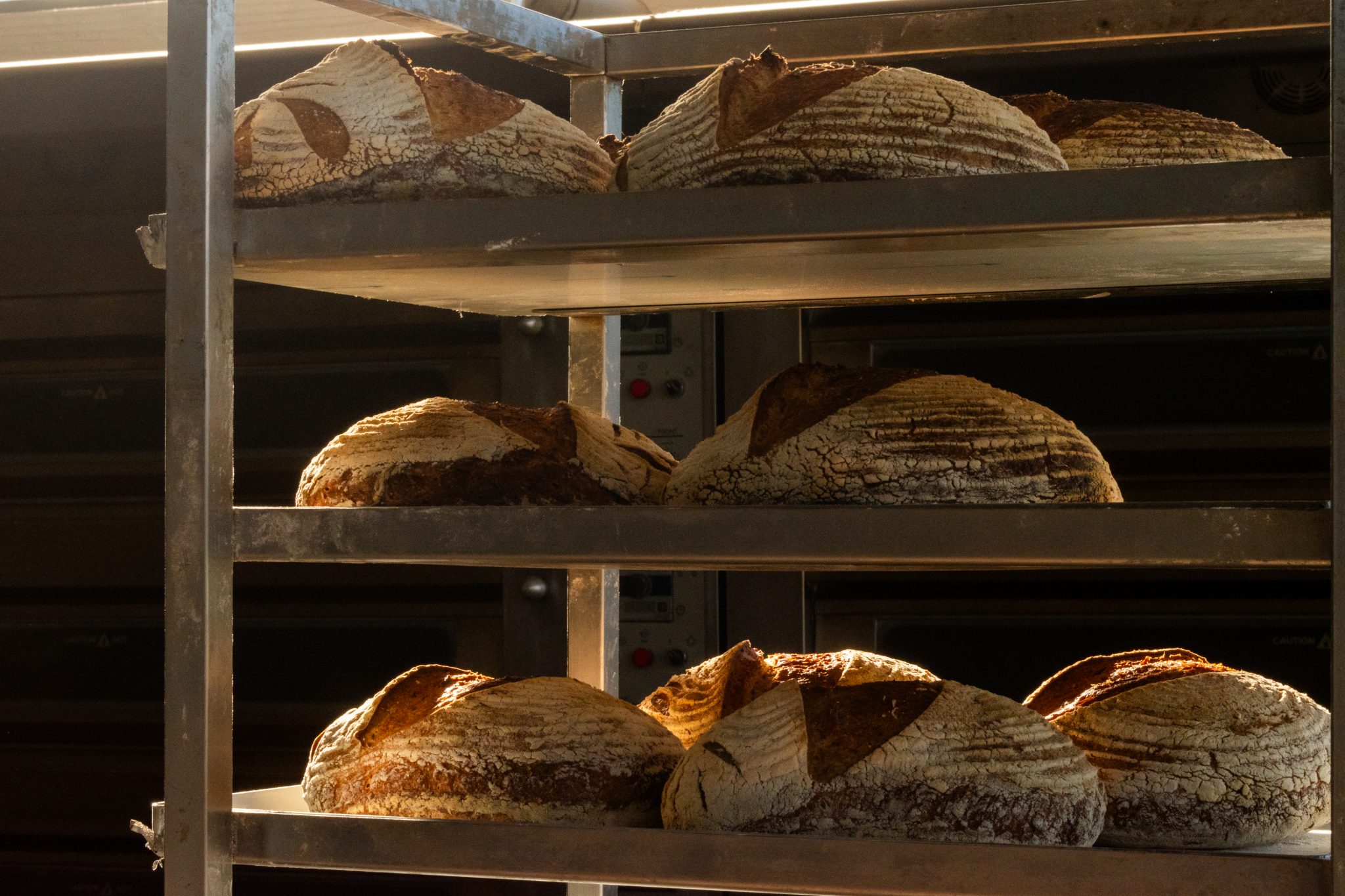 Sweet on Sourdough | Babylonstoren