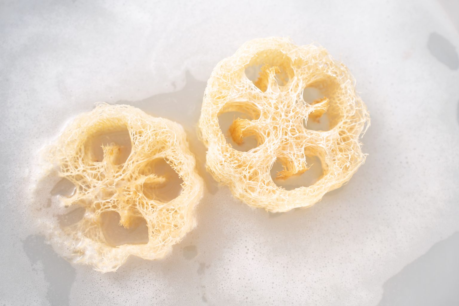 For the Love of Loofahs | Babylonstoren