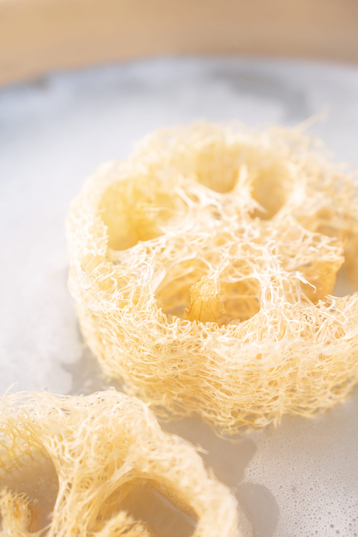 For the Love of Loofahs | Babylonstoren