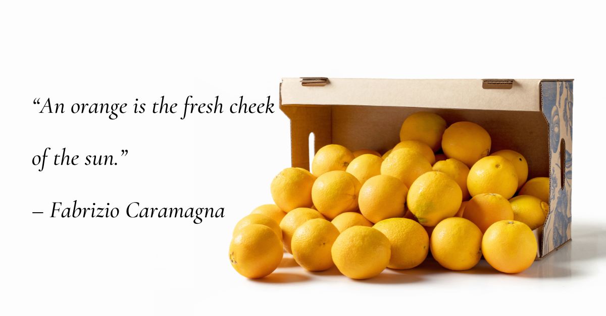 “An-orange-is-the-fresh-cheek-of-the-sun.”-–-Rumi - Babylonstoren Blog