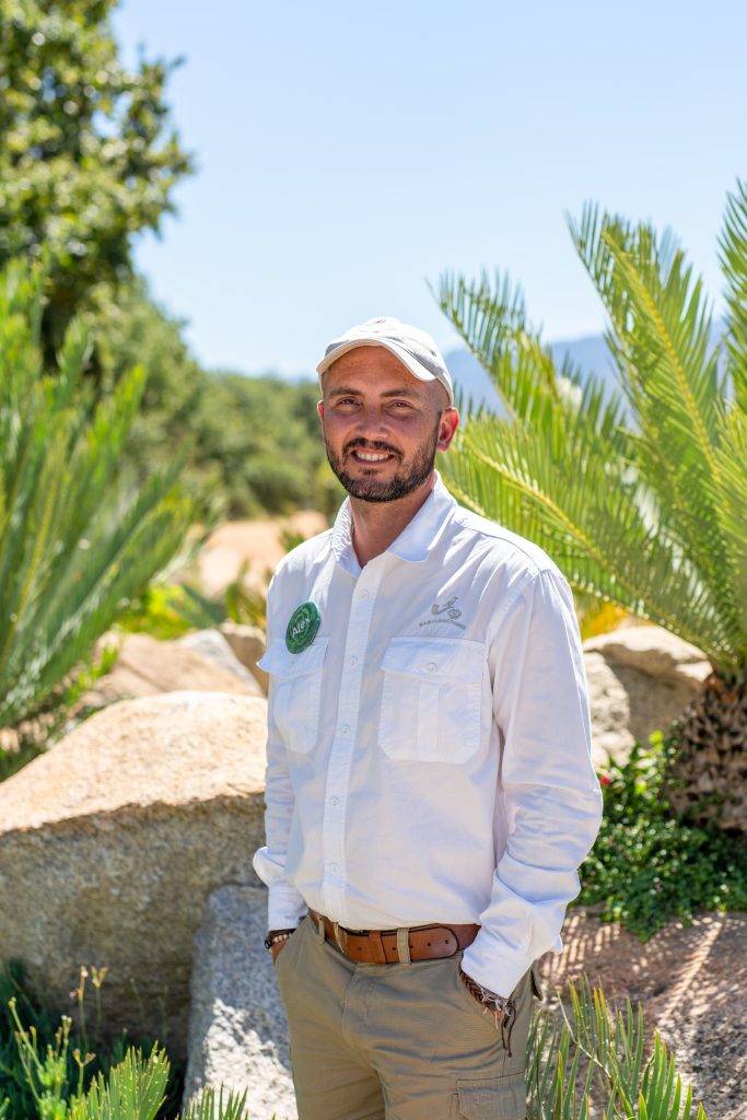 Method in the magic | Babylonstoren