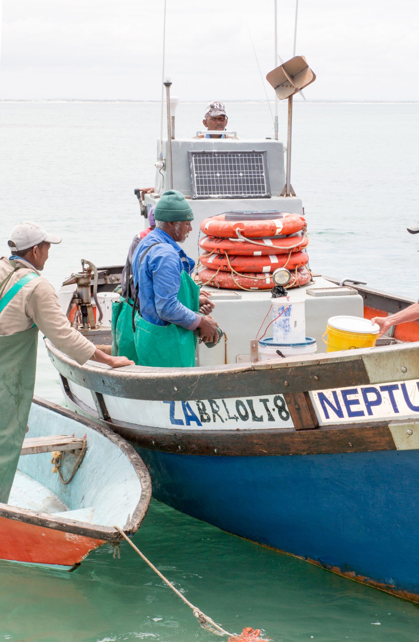 Cool Catch! | Babylonstoren