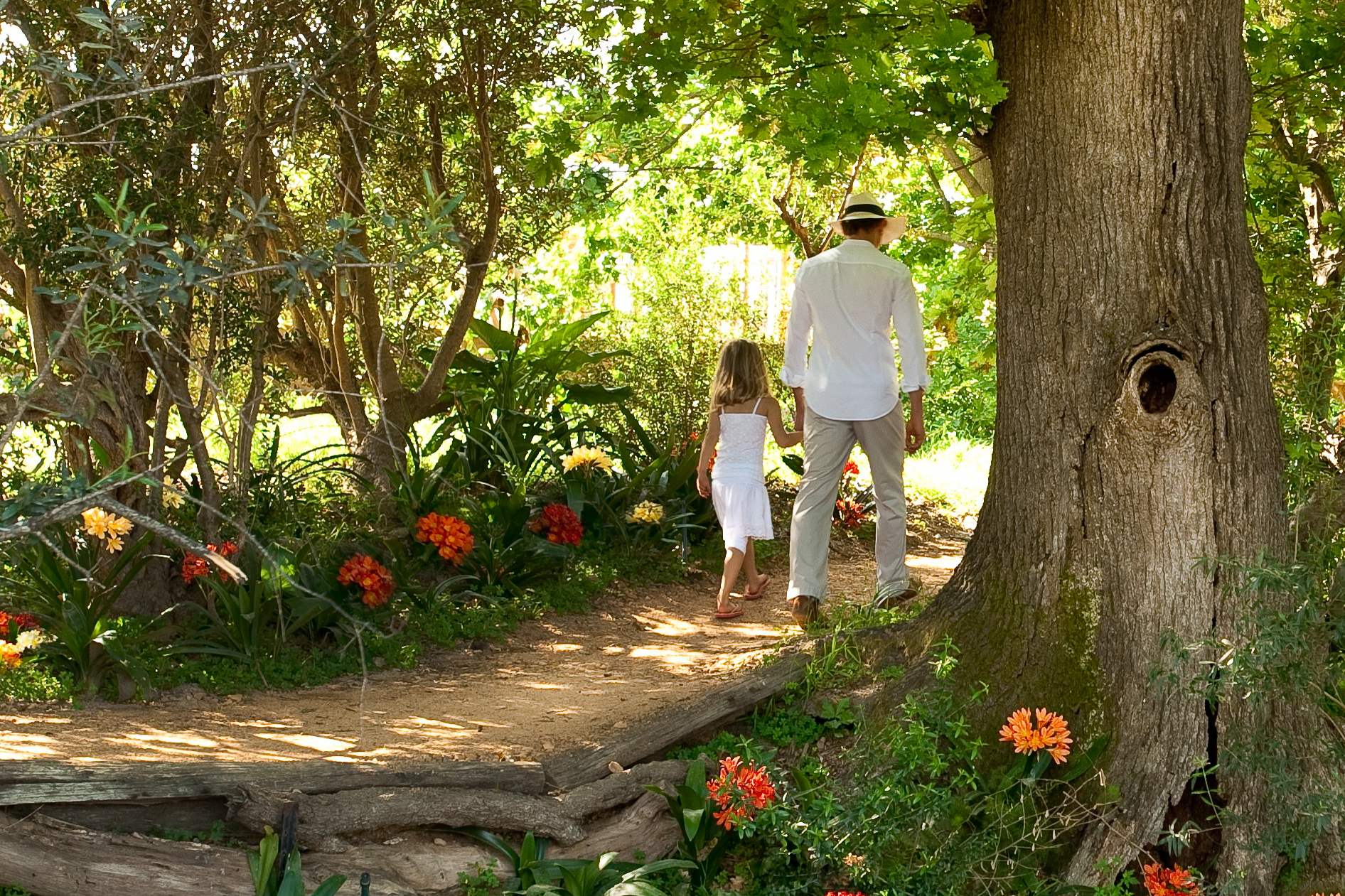 18.-clivia-walk-4 - Babylonstoren Blog