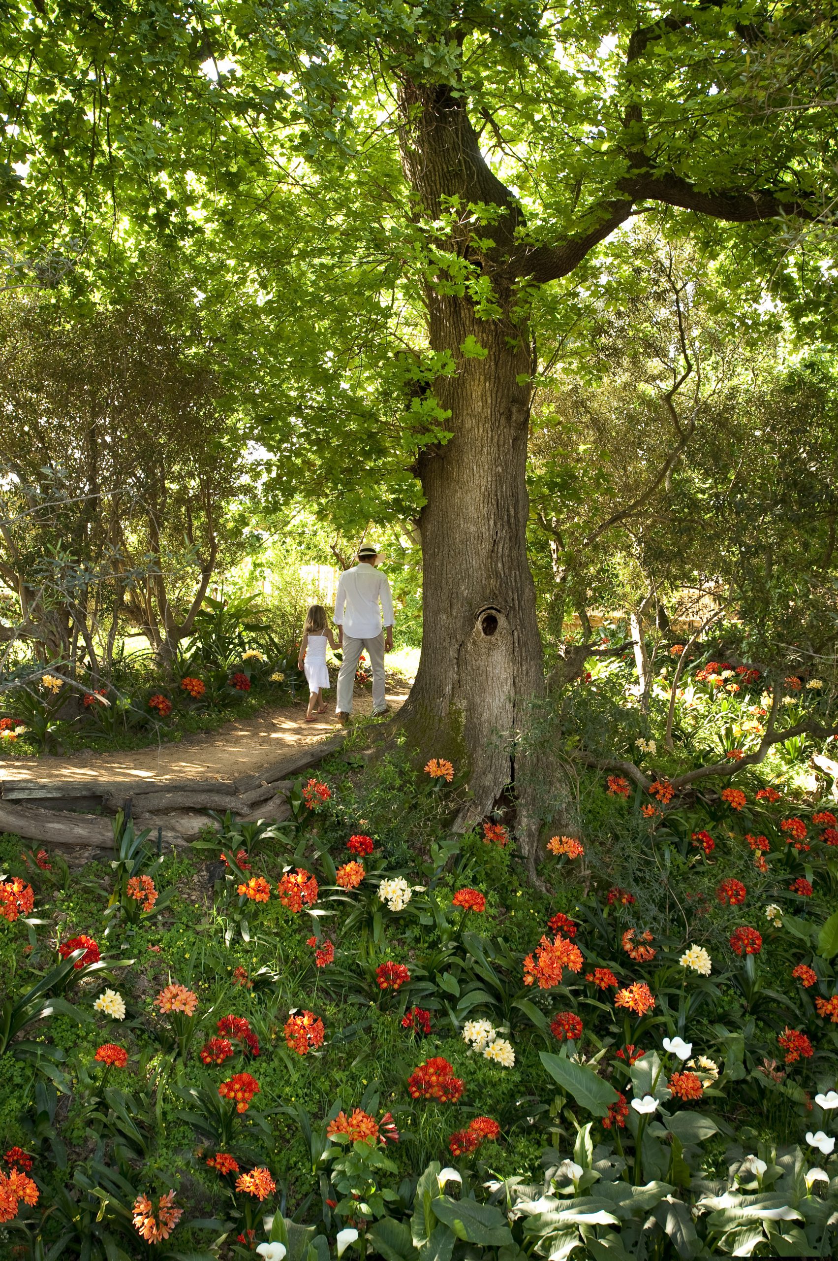 18.-clivia-walk - Babylonstoren Blog