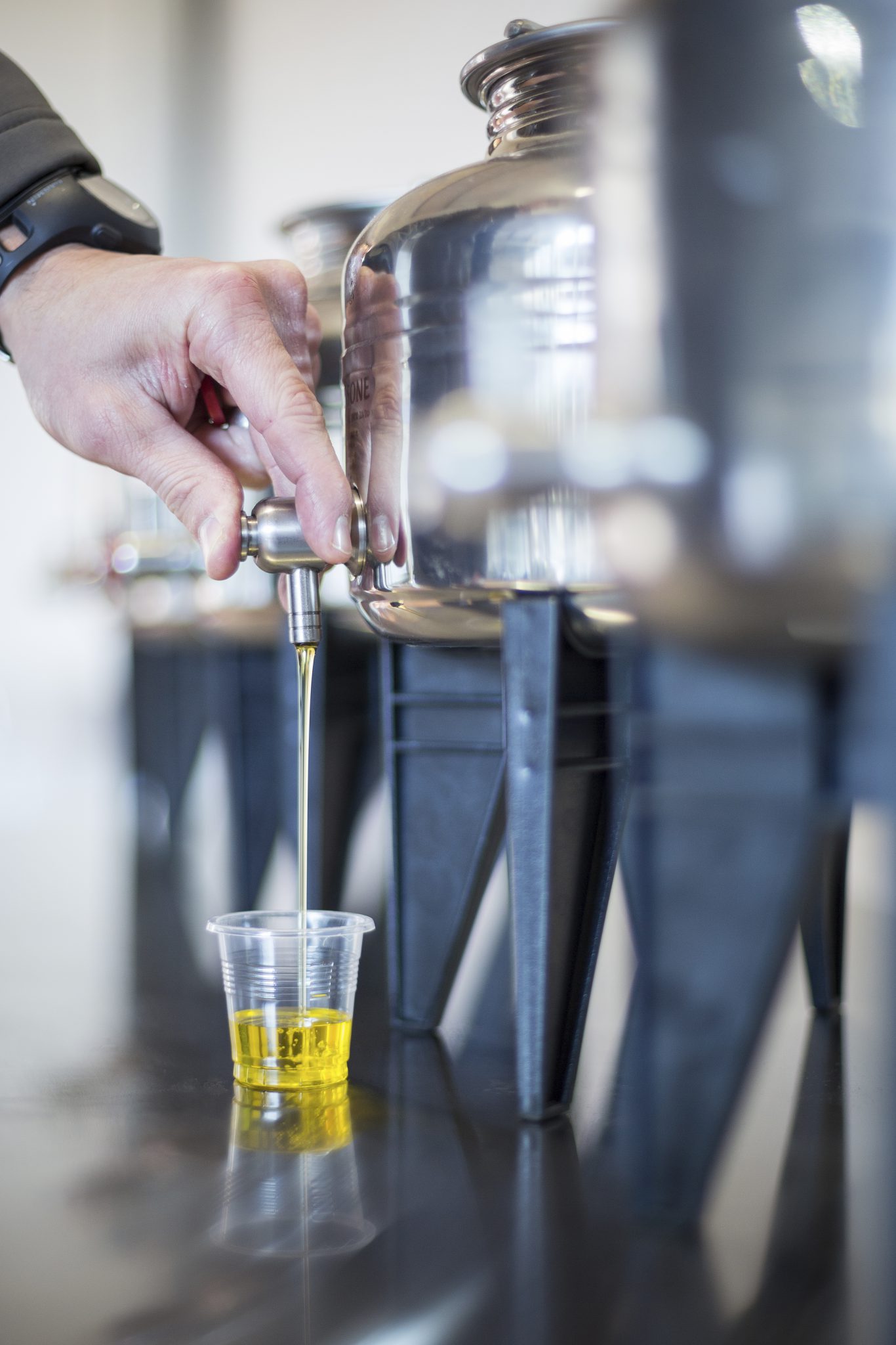 21.Olive-oil - Babylonstoren Blog