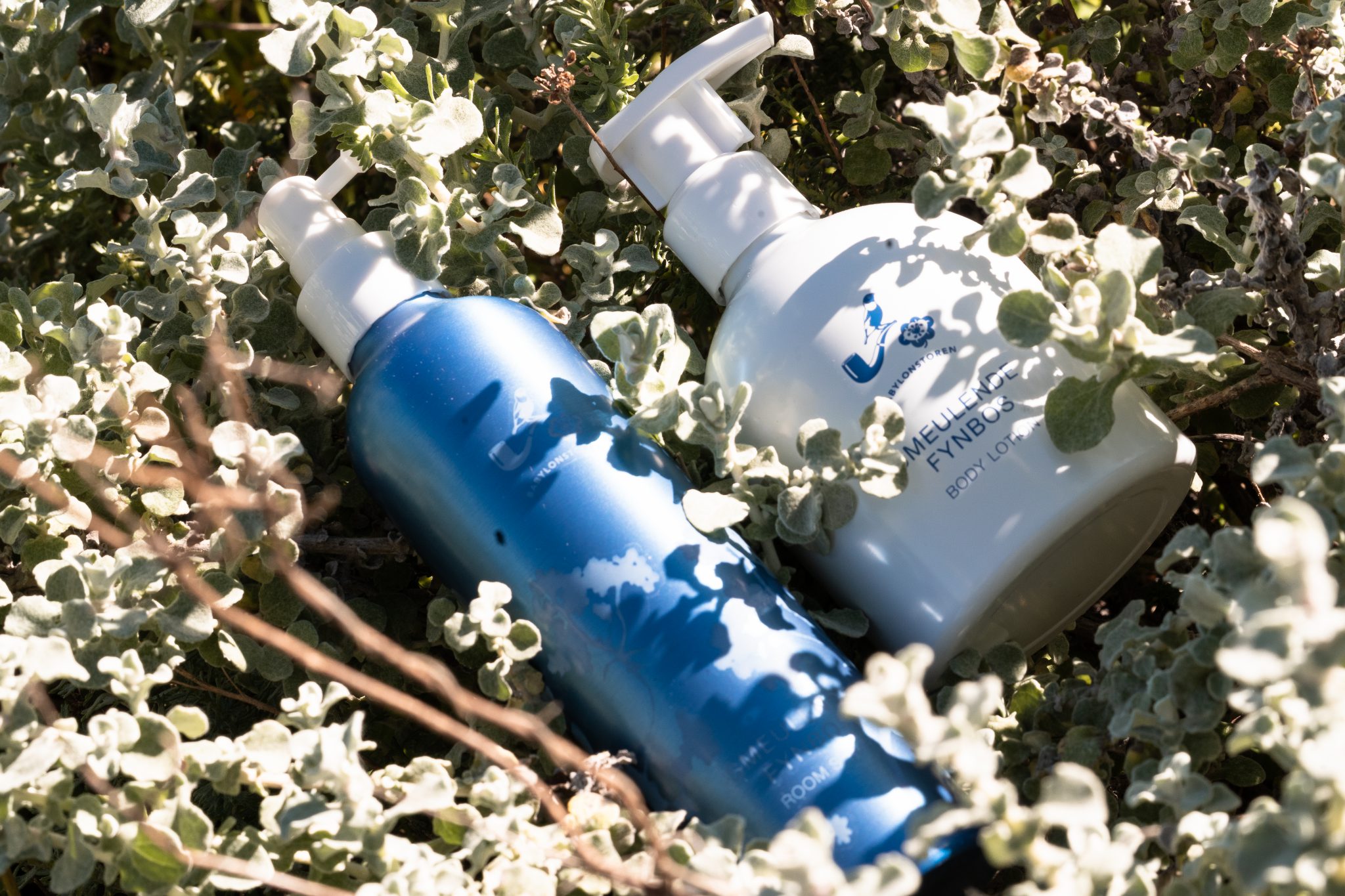 HR_Iconic-Scented-Fynbos-3 - Babylonstoren Blog