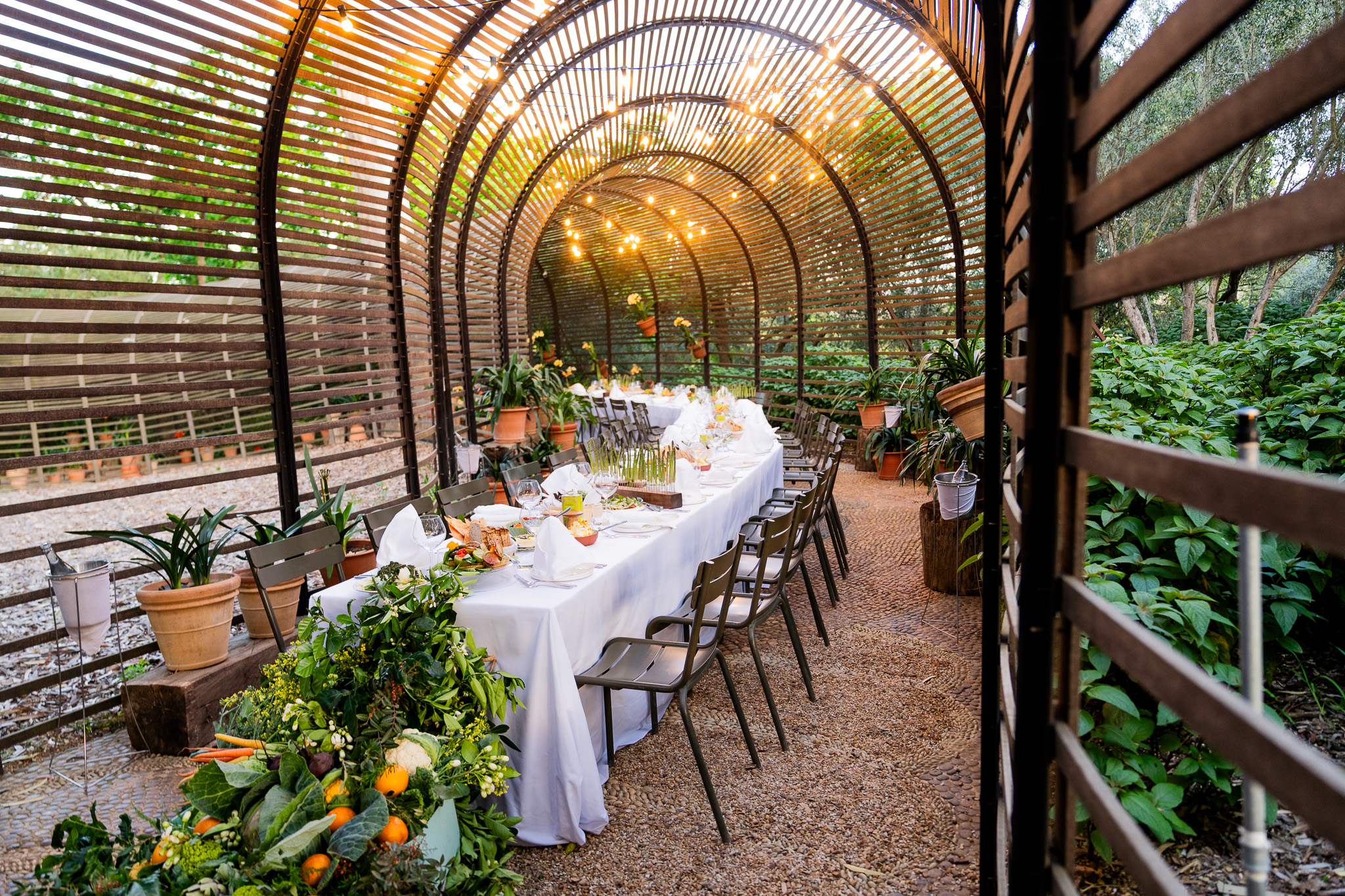 Spring-harvest-table-2025-7-1 - Babylonstoren Blog
