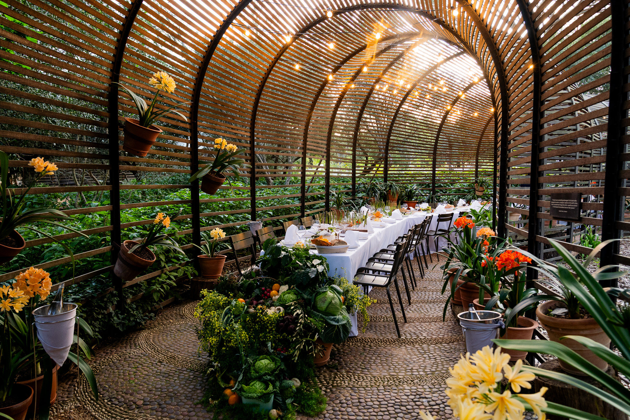 Spring-harvest-table-2025-87 - Babylonstoren Blog
