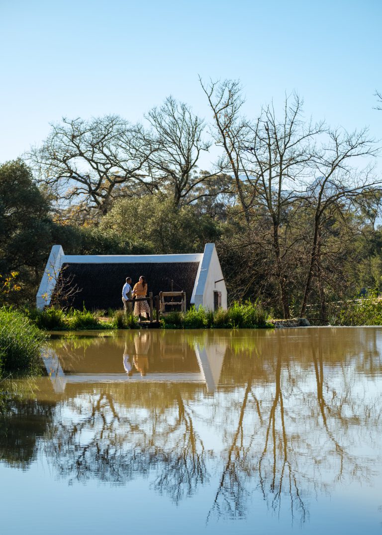 What's on in January?