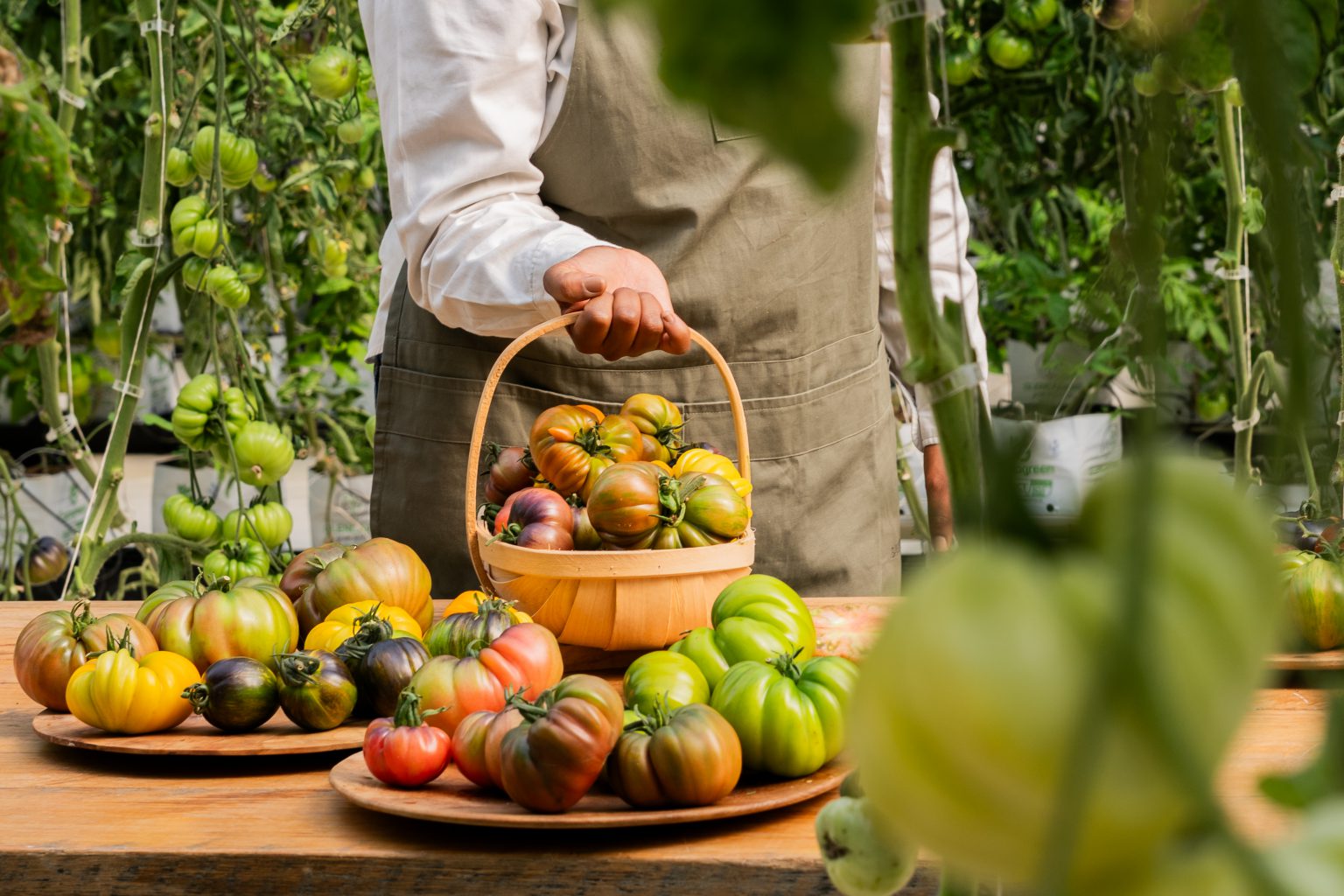 Heritage of flavour | Babylonstoren